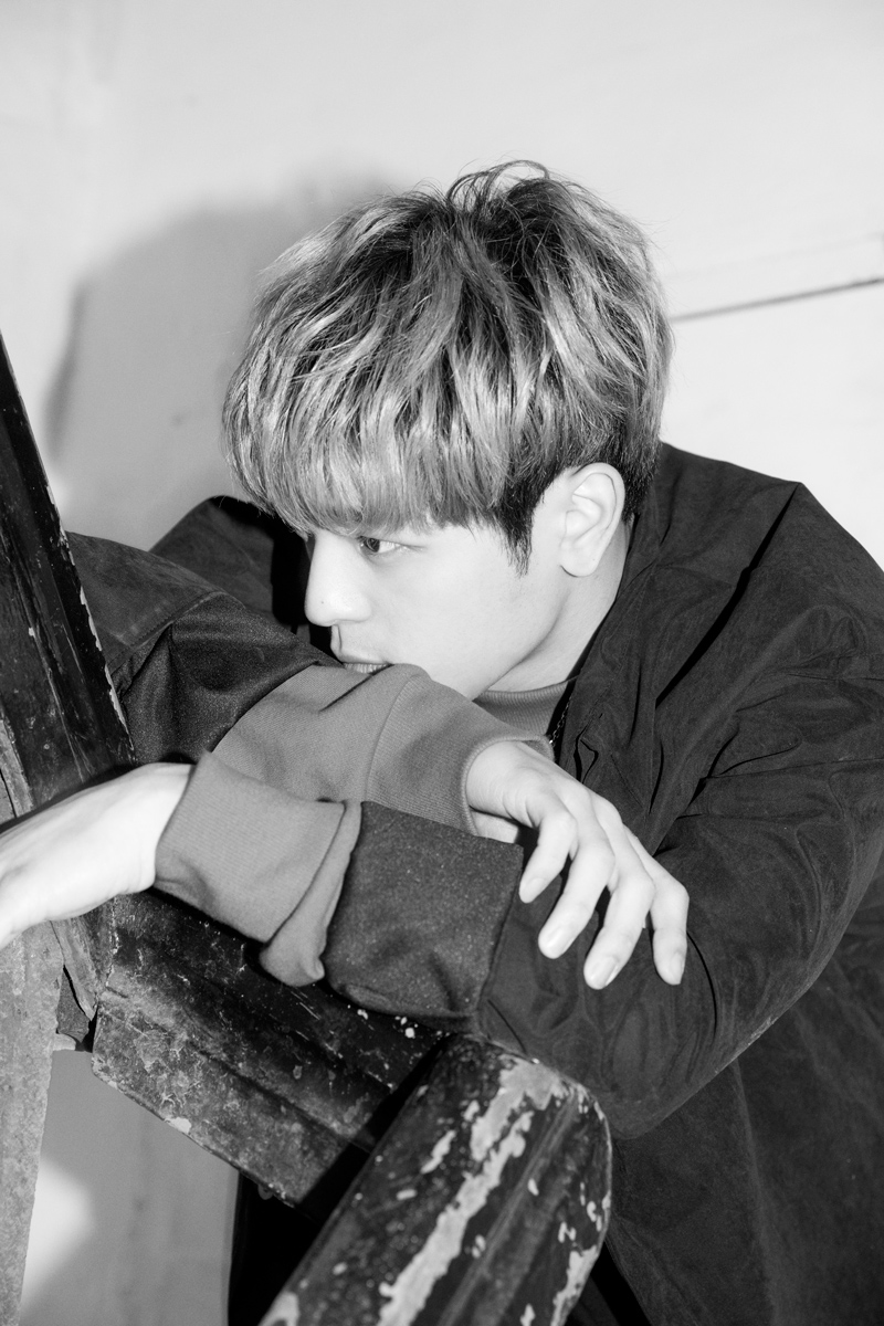 Stray Kids : Gallery